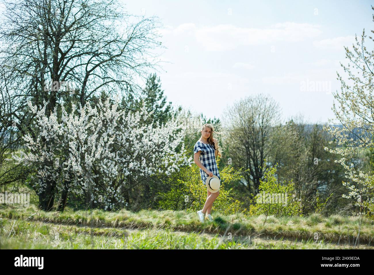 beautiful girl in a dress walking in the spring forest where the trees ...