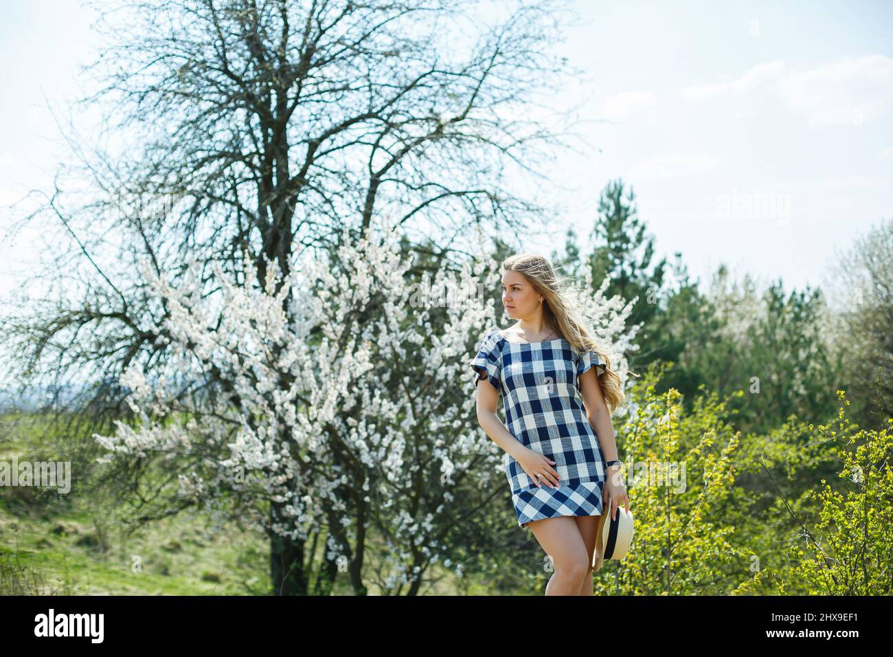 beautiful girl in a dress walking in the spring forest where the trees ...
