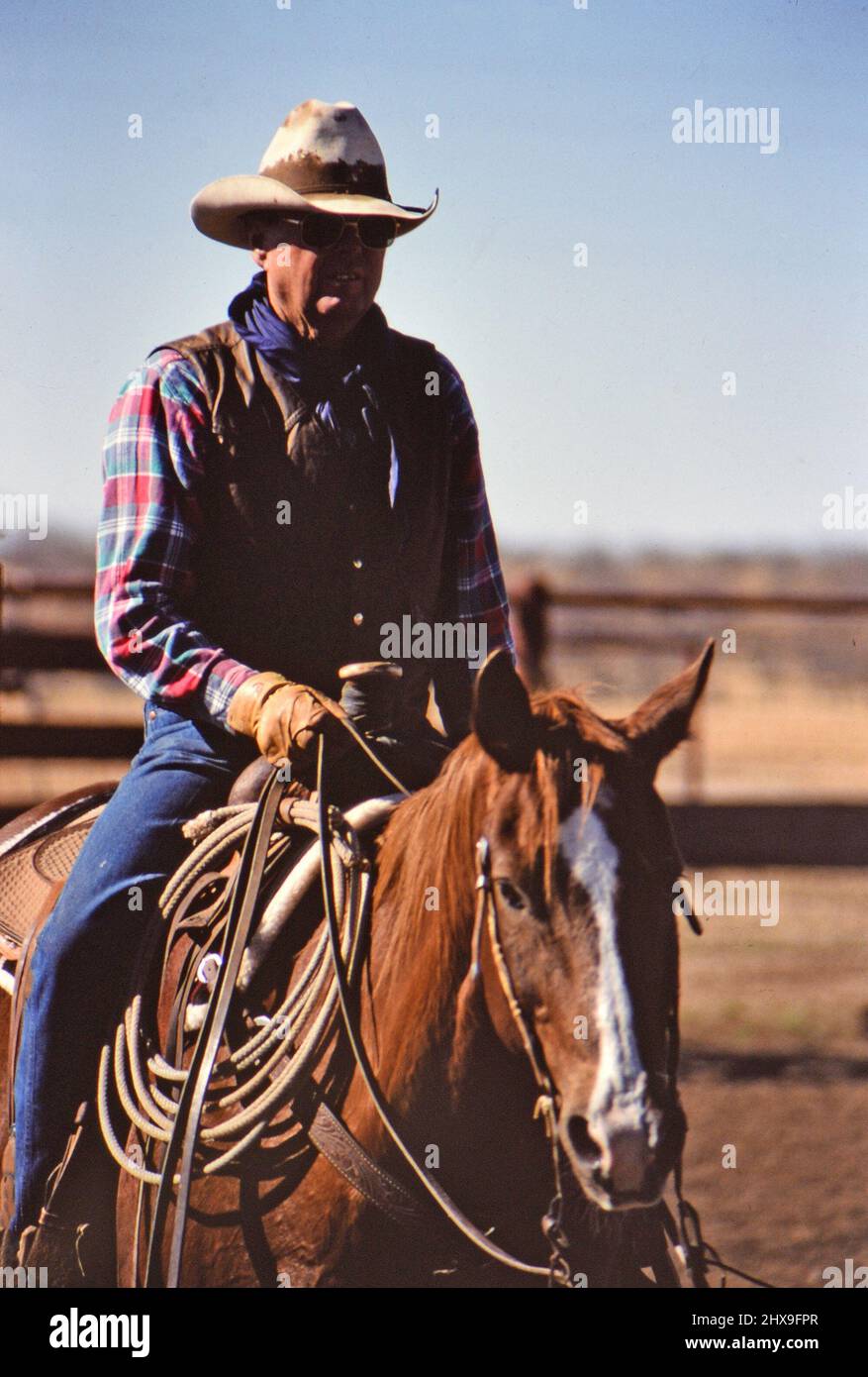 Working cowboy on the R.A. Brown Ranch in Throckmorton Texas ca. 1997 ...