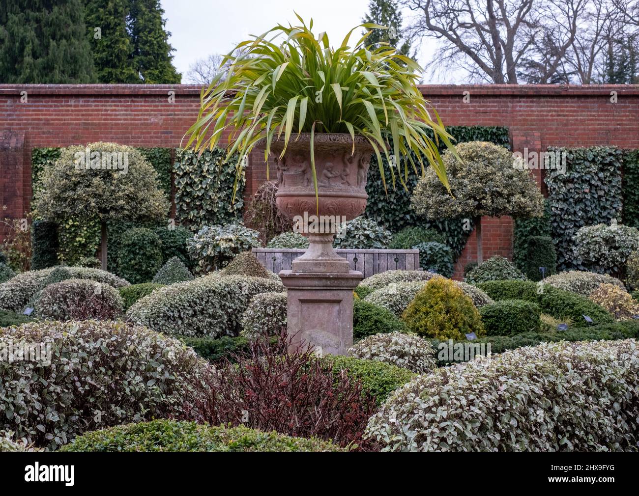 The formal Knot Garden with neat clipped cone shaped topiary bushes and ...