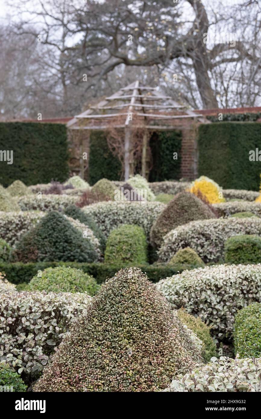 Cone shaped shrubs hi-res stock photography and images - Alamy