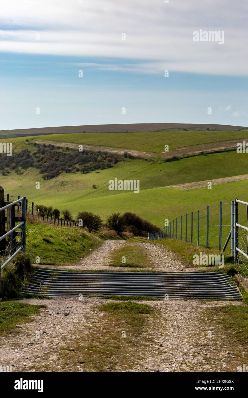 Farmland in the South Downs, with a cattle grid on a pathway Stock ...