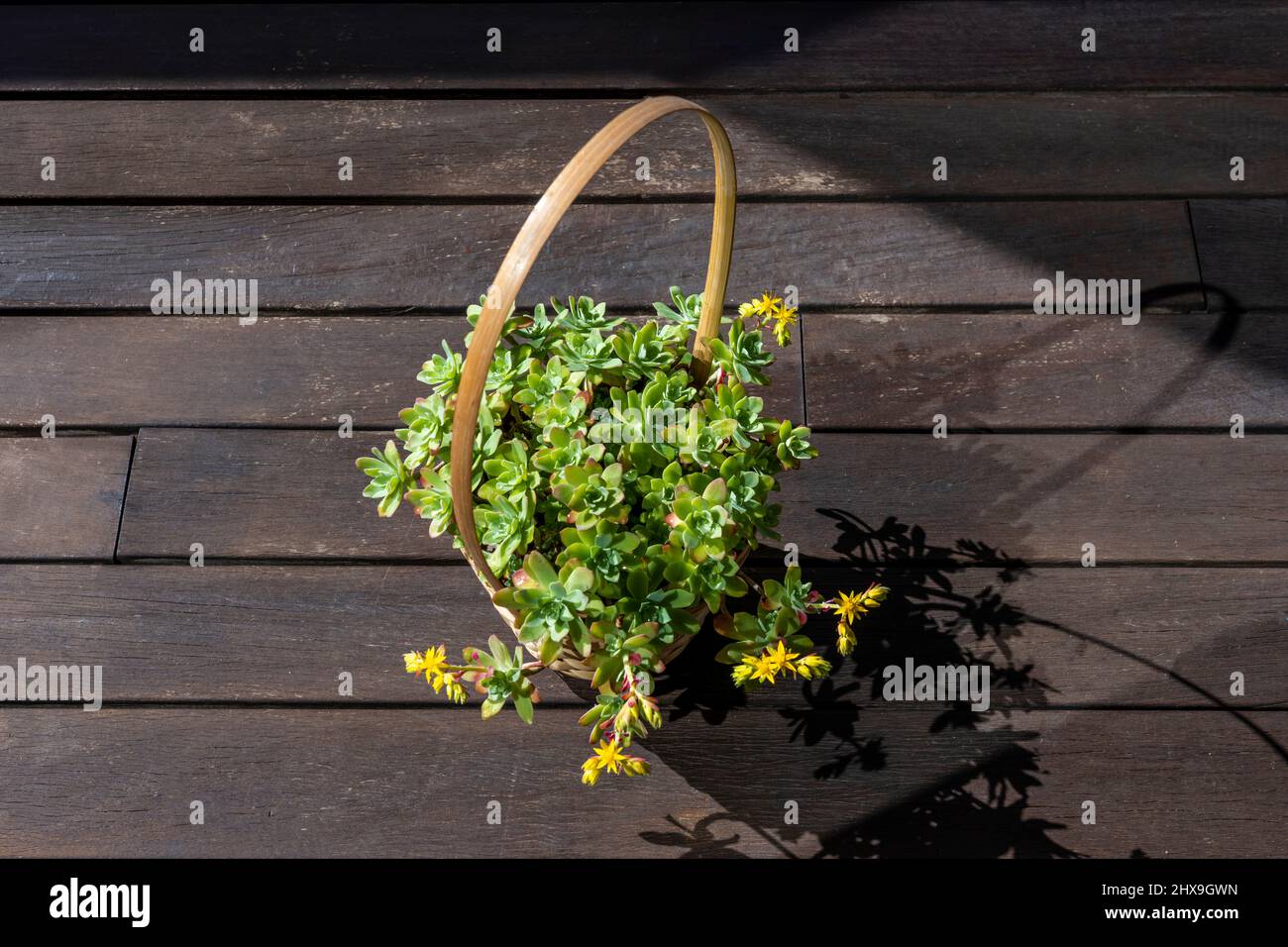 Plenty of good drainage hi-res stock photography and images - Alamy