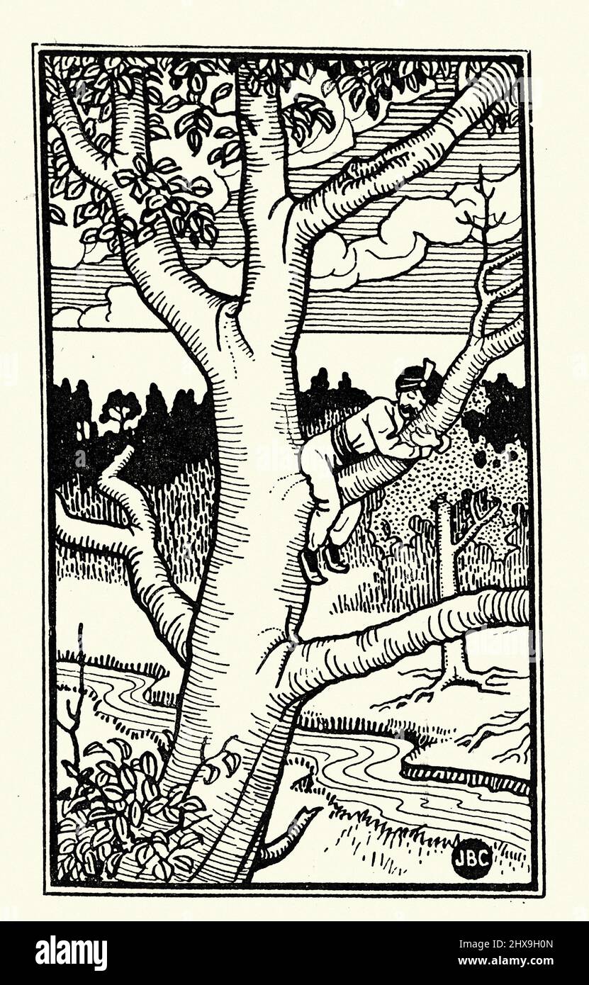 Vintage Illustration From Third Voyage Of Sinbad The Sailor Sleeping