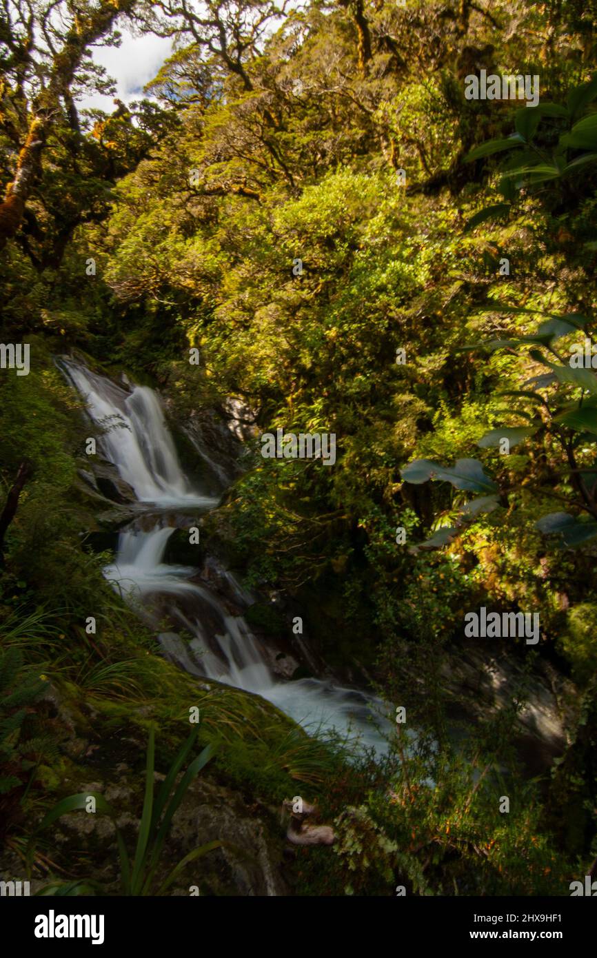 Anderson cascades hi-res stock photography and images - Alamy
