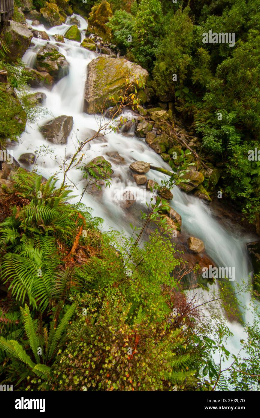 Lake Marian Falls Track, Waterfall in Fiordland New Zealand with native ...