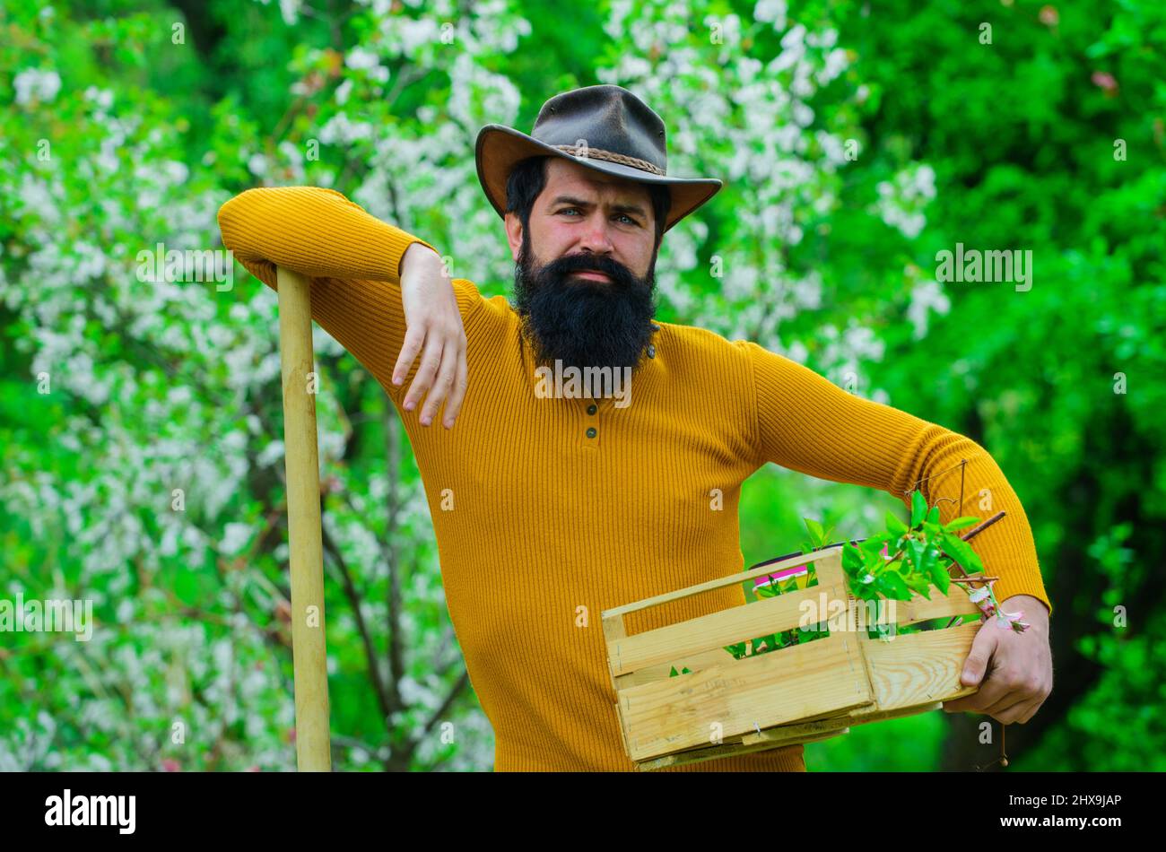 Spring Gardening. Bearded man with gardening tools. Farmer Work in ...
