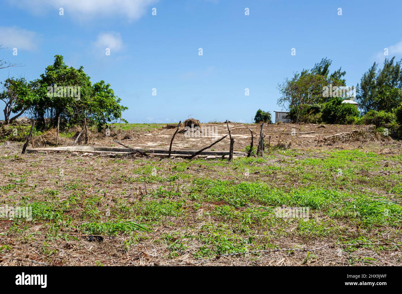 Low Tank With Barbeque Stock Photo - Alamy