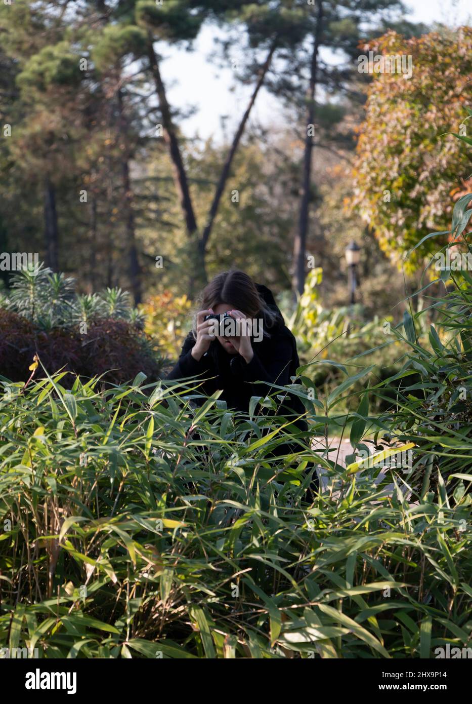 Camouflage wildlife photographer. A woman is hiding while taking photos ...
