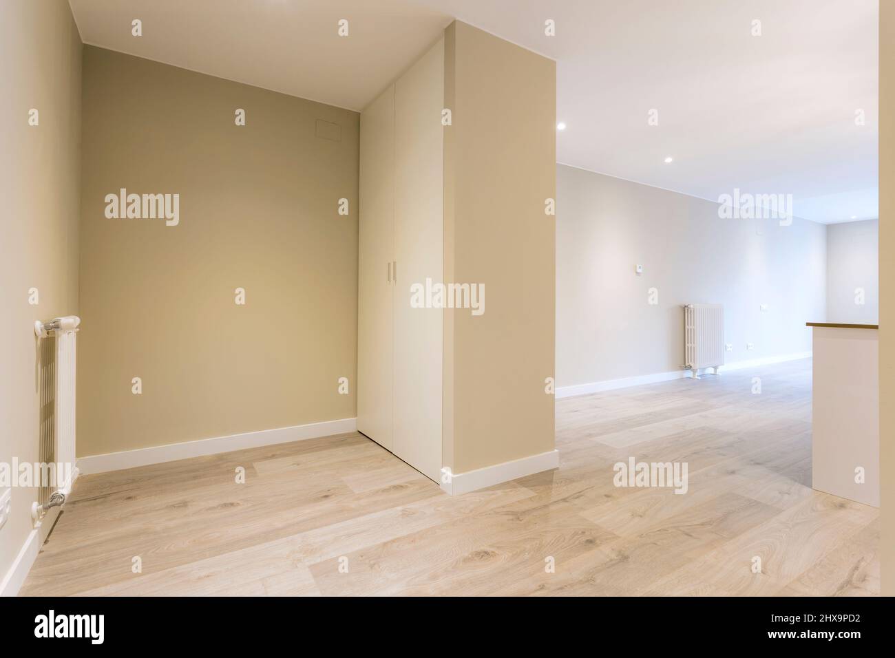 Hall with closet of an empty apartment Stock Photo - Alamy