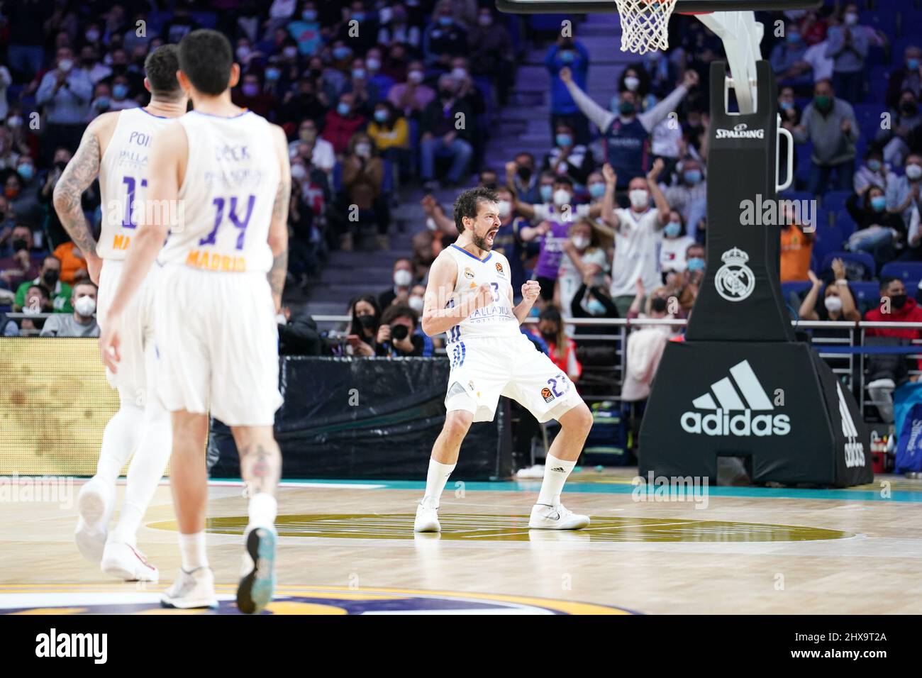 Arena Basketball Real Madrid at Michiko Durbin blog