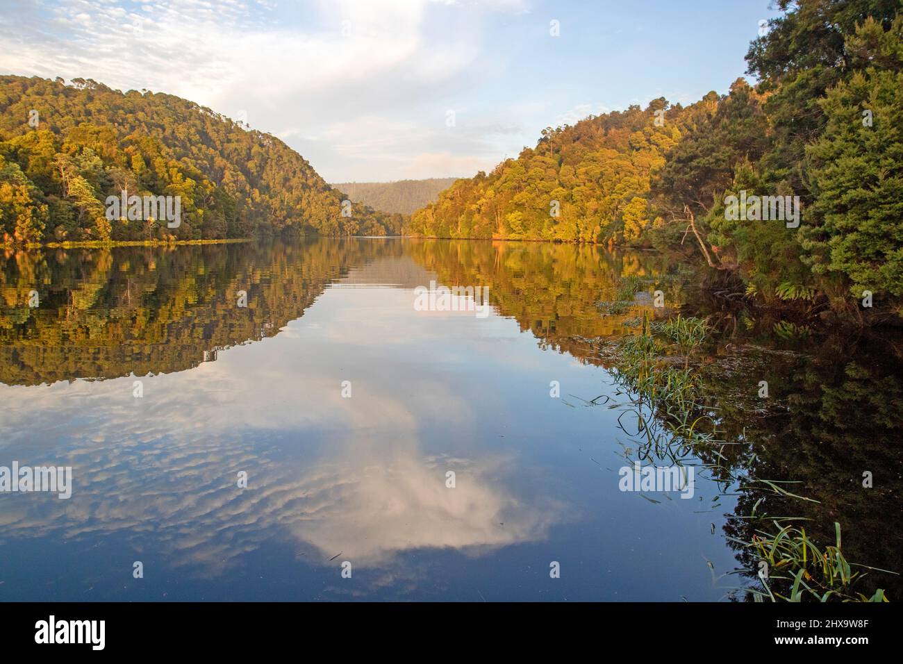 Pieman river hi-res stock photography and images - Alamy