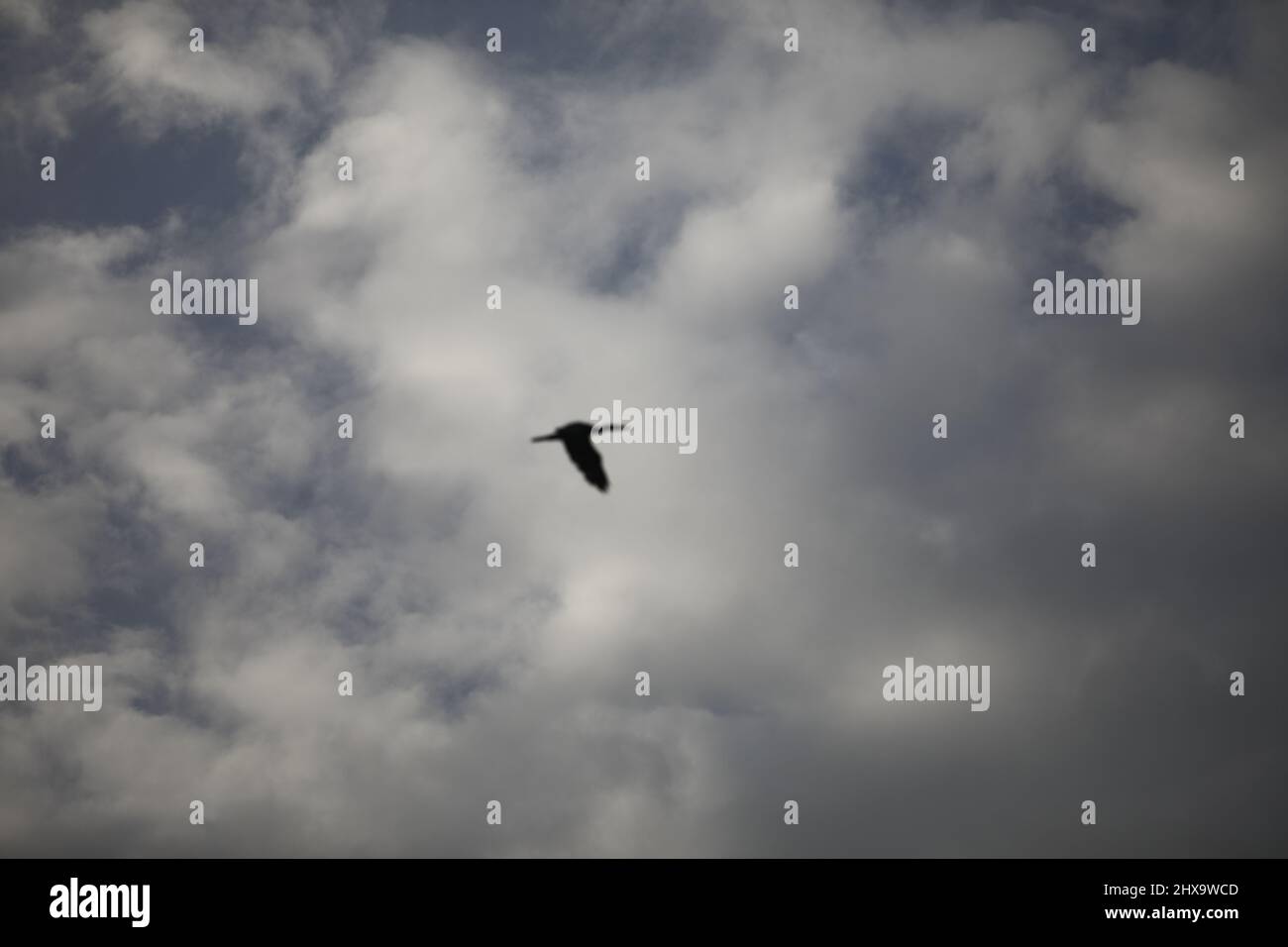 low waves on the shore of a beach High quality Stock Photo - Alamy