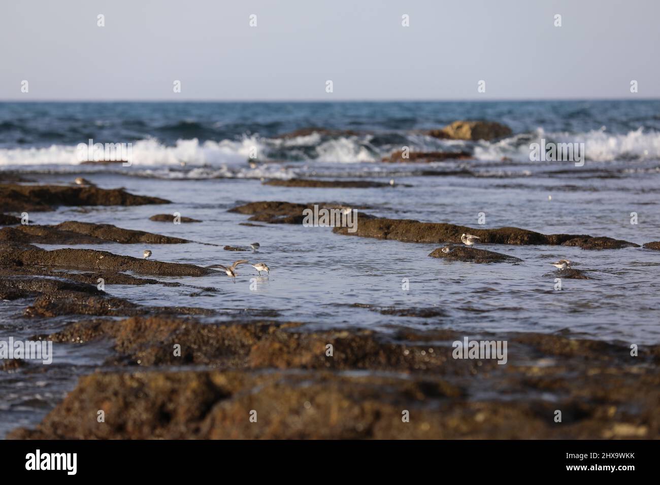 Landscape of rock and sea High quality Stock Photo - Alamy