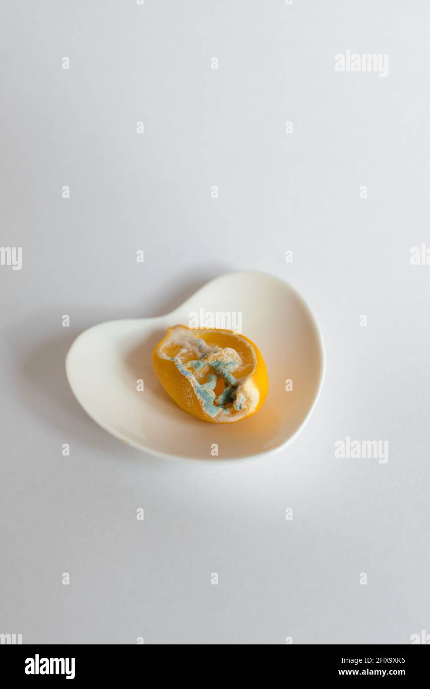 Cut lemon on a white dish with mold, spoiled Stock Photo - Alamy