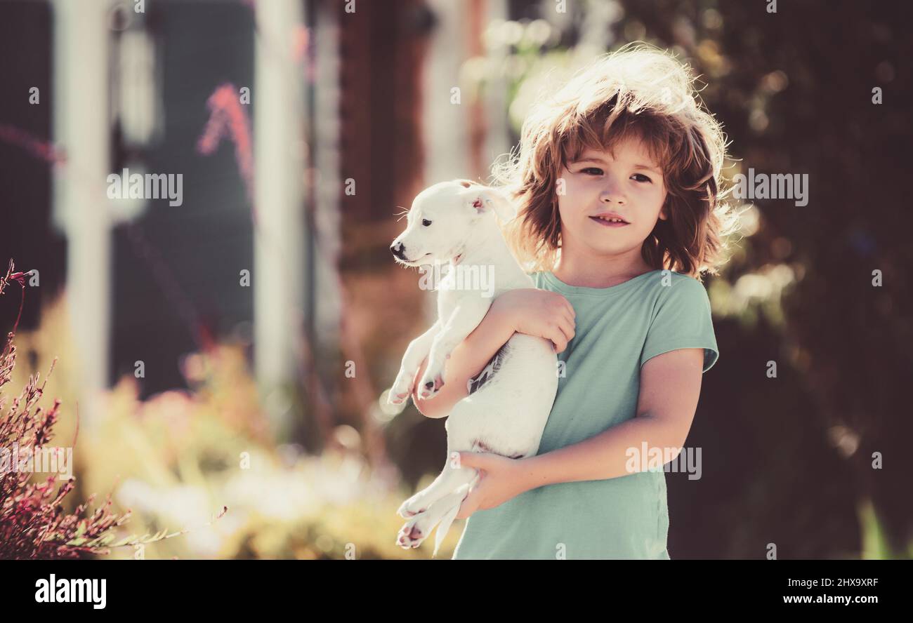 Boy hugging puppies hi-res stock photography and images - Alamy