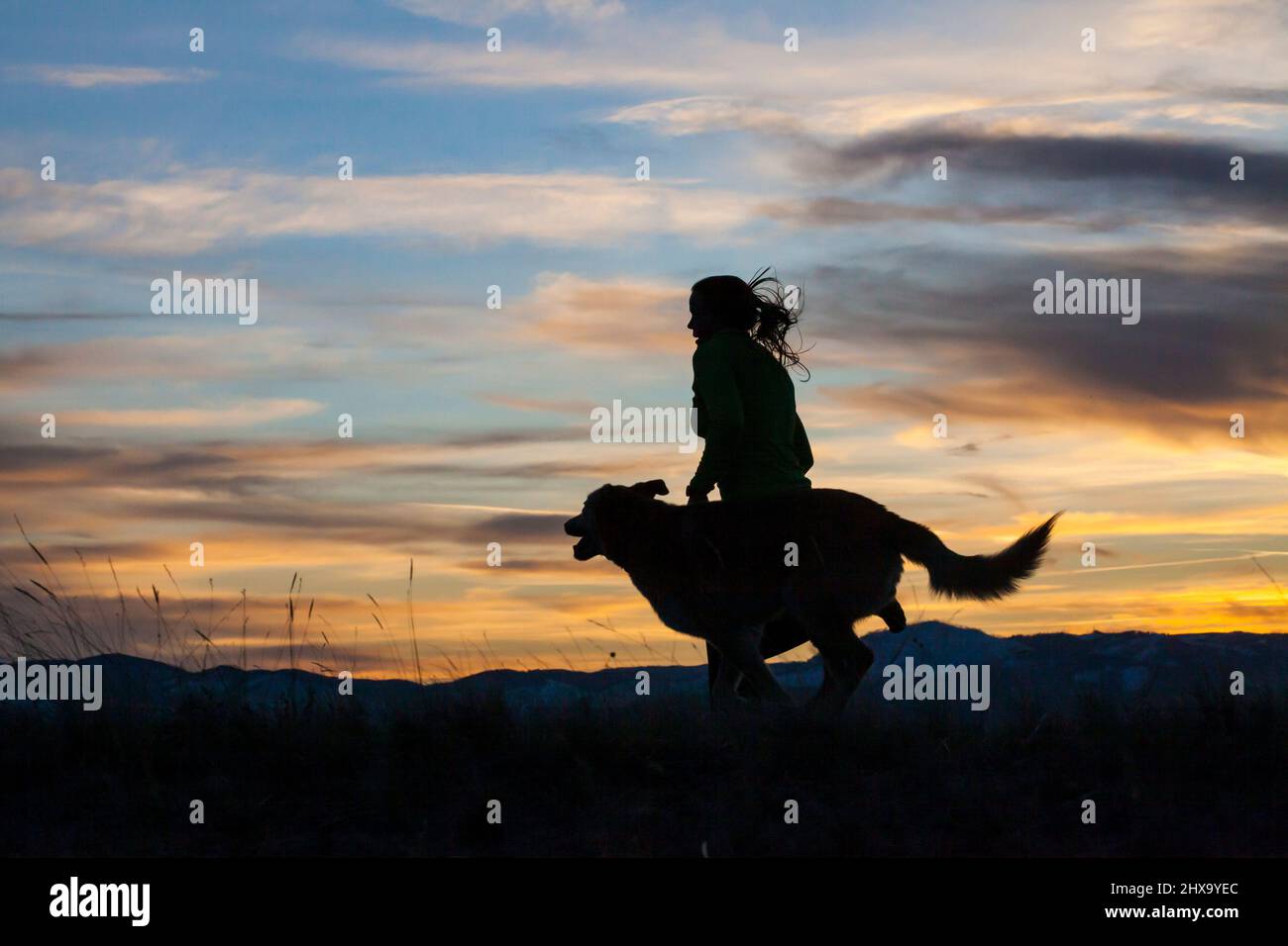 Woman best friend dog hi-res stock photography and images - Alamy