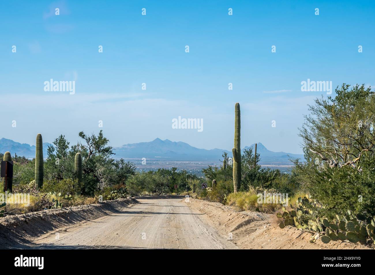 Layers of cactus hi-res stock photography and images - Alamy