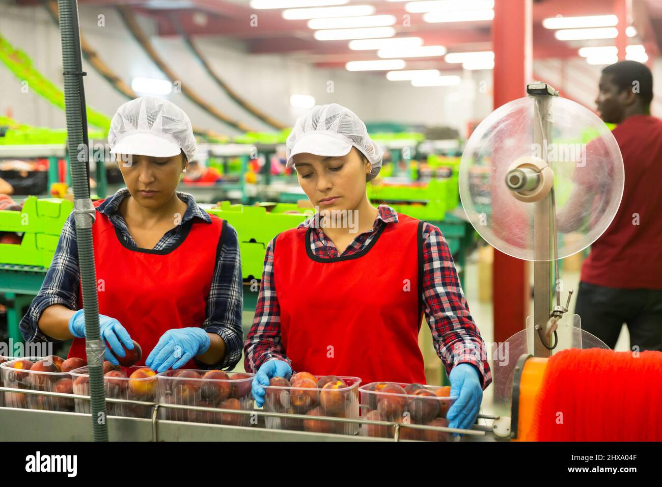 Female employees sorting peaches at fruit warehouse Stock Photo - Alamy