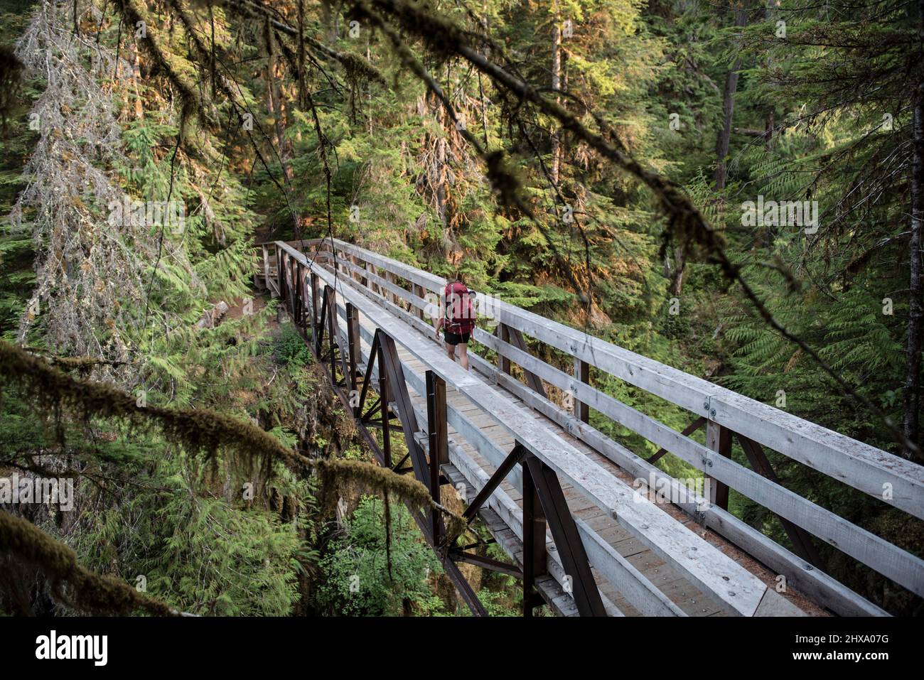 Hoh river trail hi-res stock photography and images - Alamy