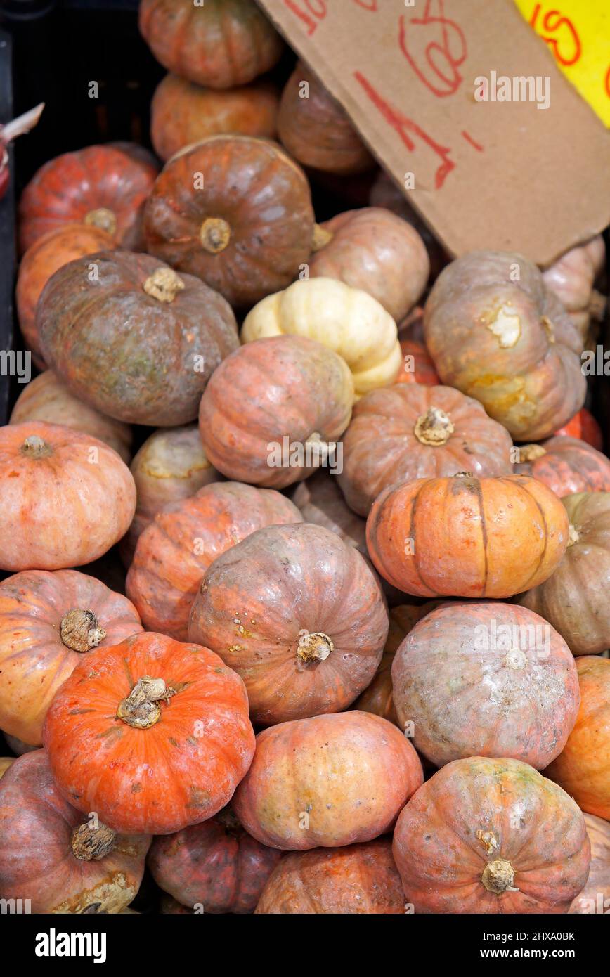 Pile of mini pumpkins on marketplace Stock Photo - Alamy