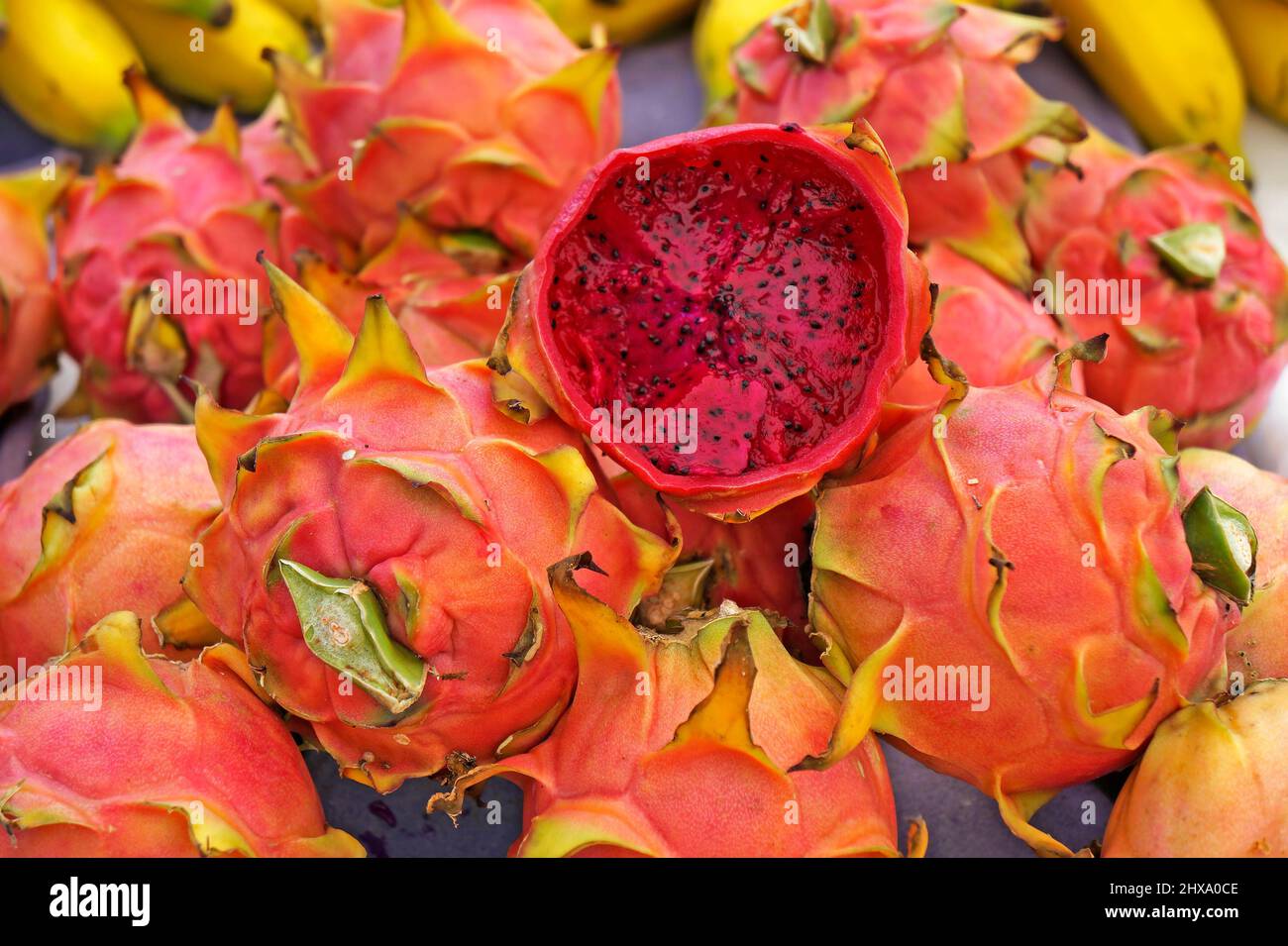 Red pitaya fruits dragon hi-res stock photography and images - Alamy