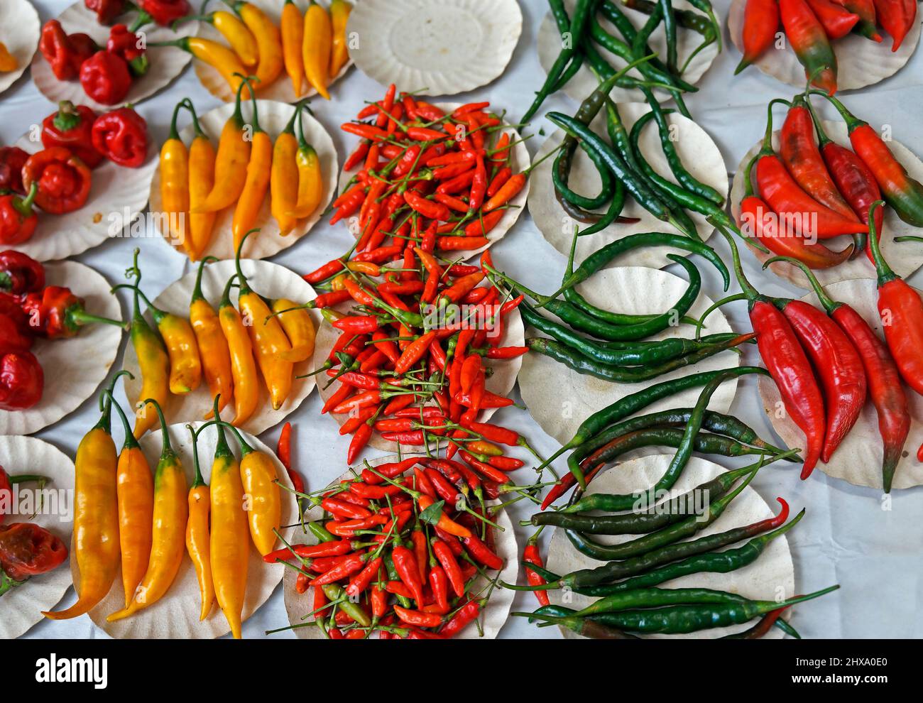 Varieties Of Chili Peppers High Resolution Stock Photography and Images ...