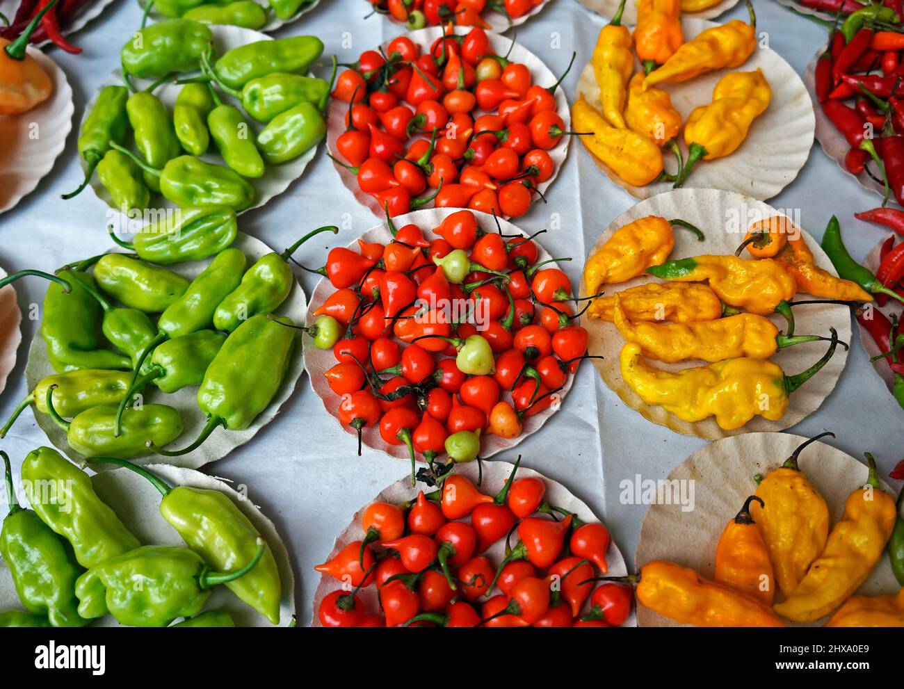 Assortment of chili peppers on marketplace Stock Photo - Alamy