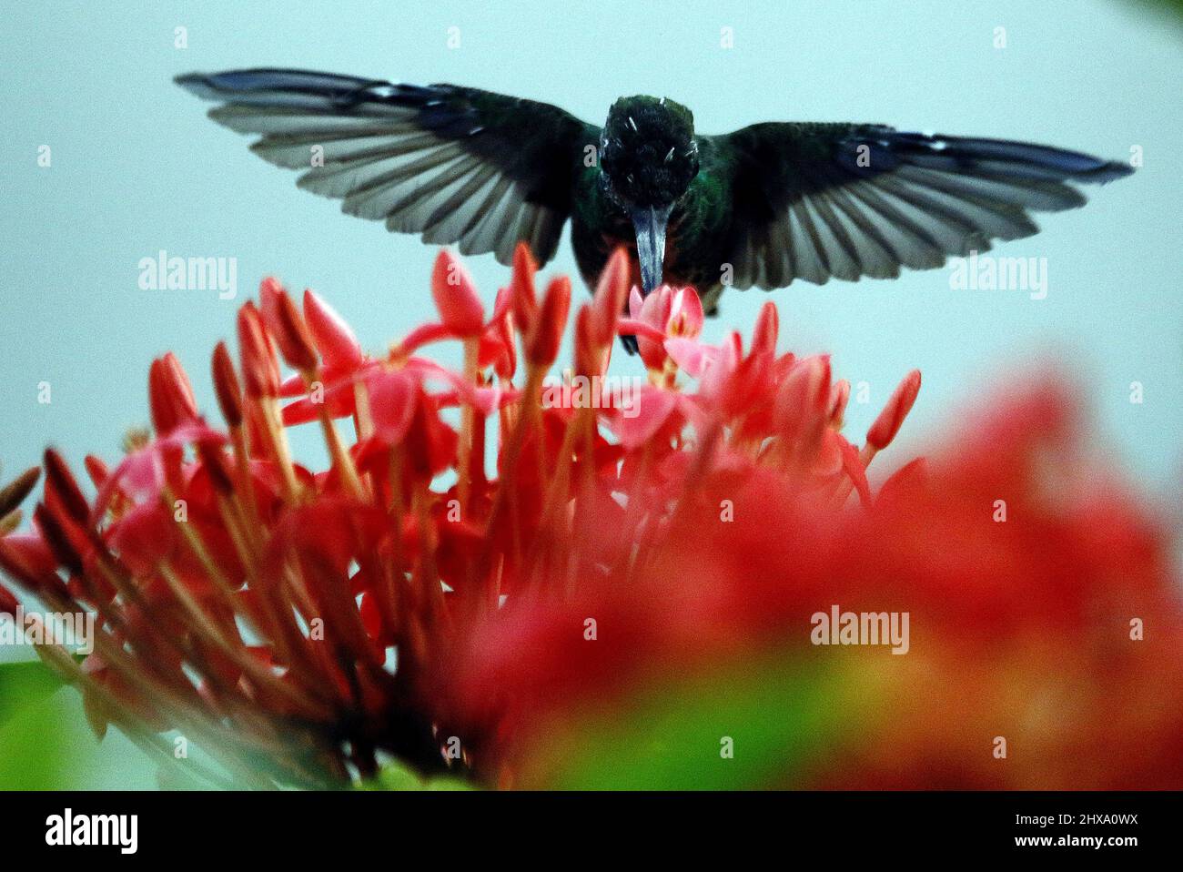 Valencia, Carabobo, Venezuela. 10th Mar, 2022. March 10, 2022. A ...
