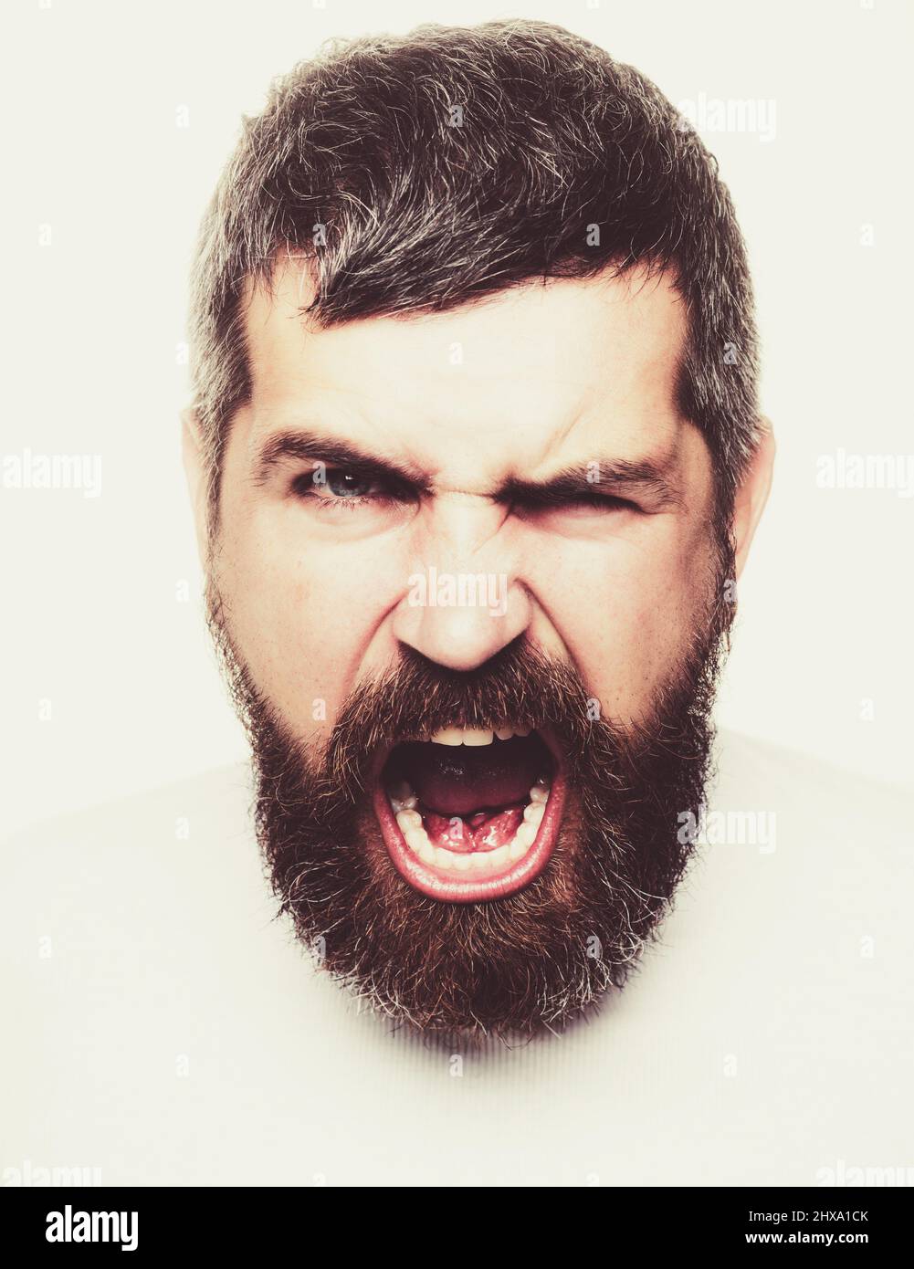 Angry Barber with long beard and moustache in barbershop. Bearded ...