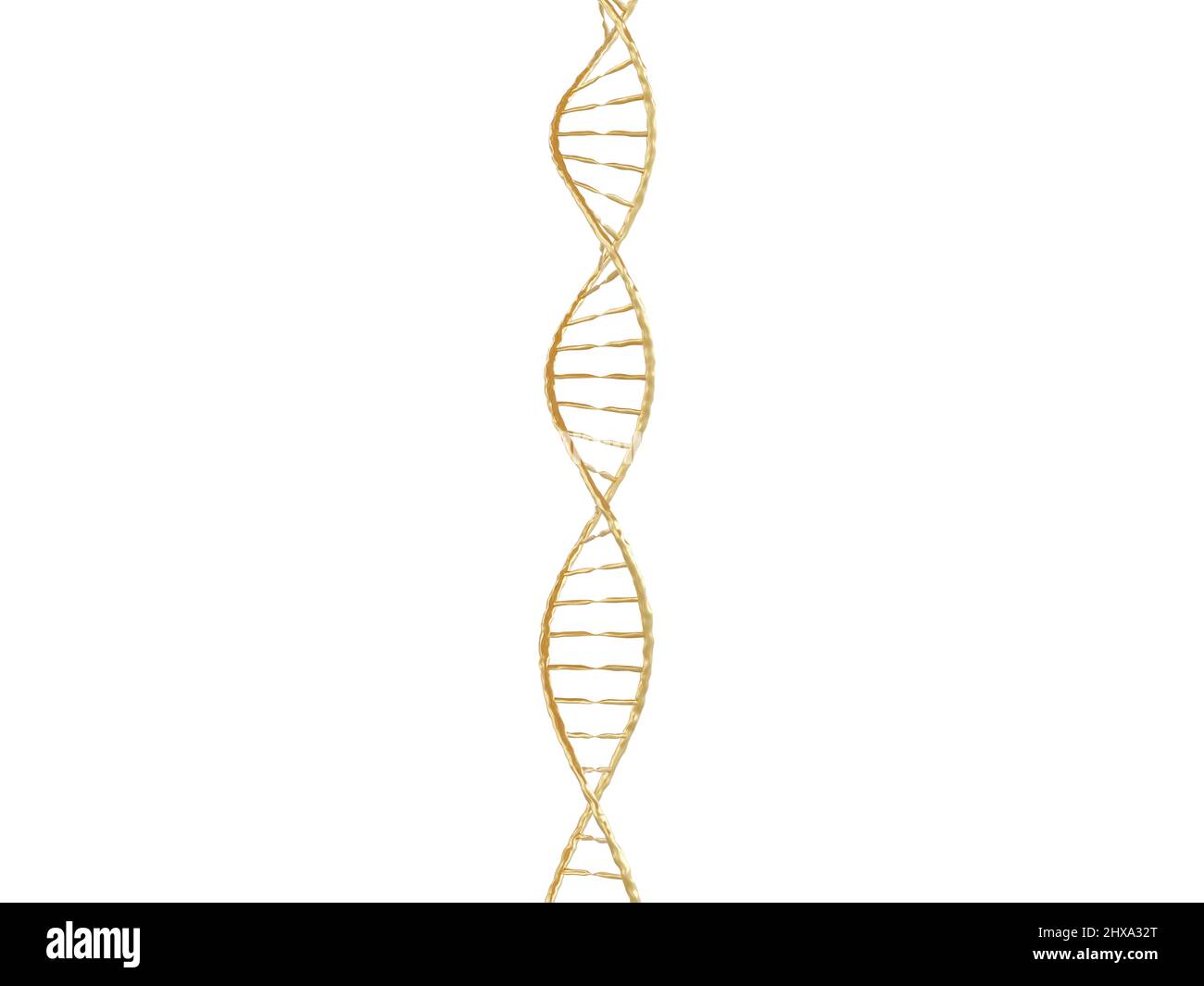 Segment of golden DNA structure on white background Stock Photo - Alamy