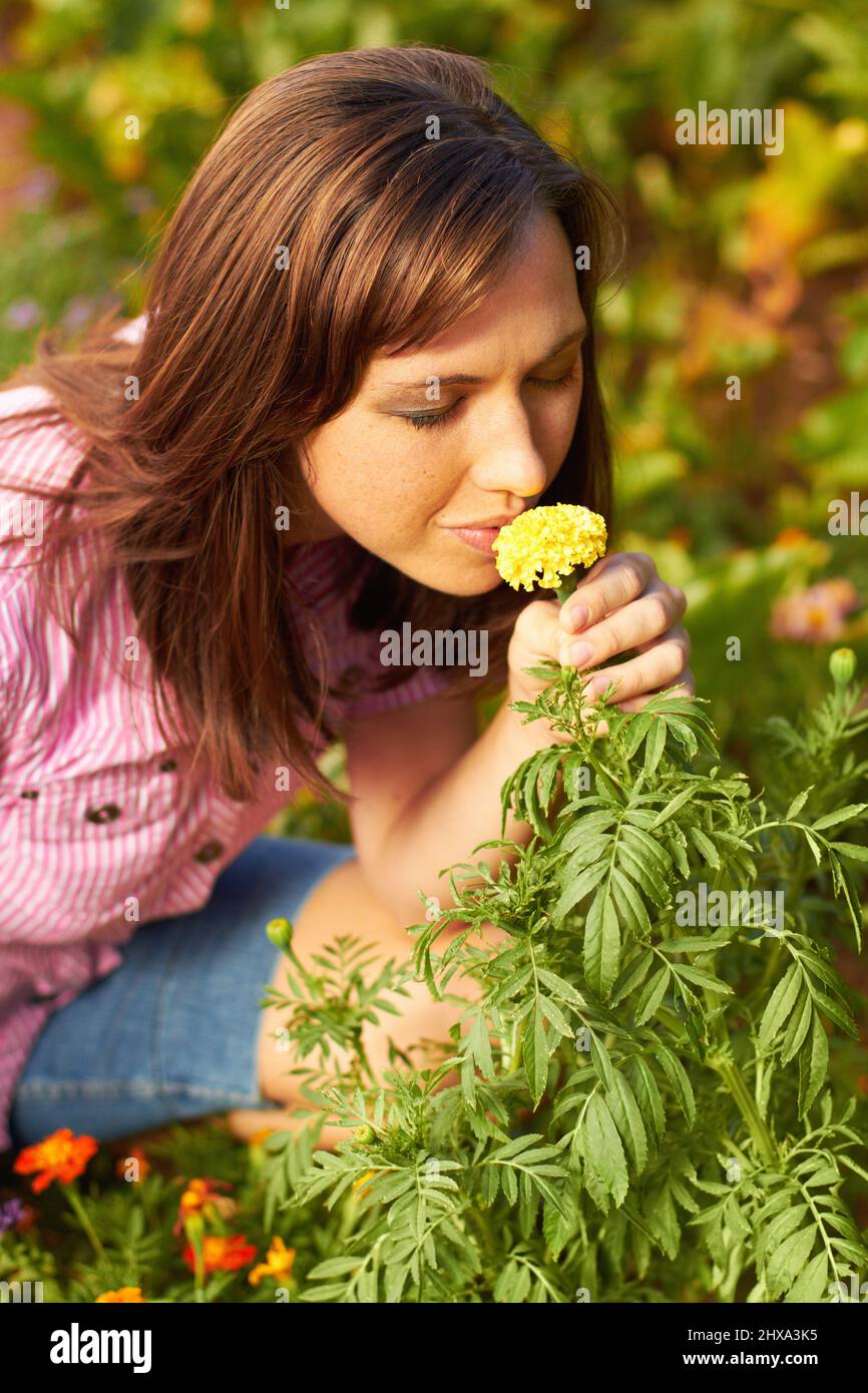 Smells like flower hi-res stock photography and images - Alamy