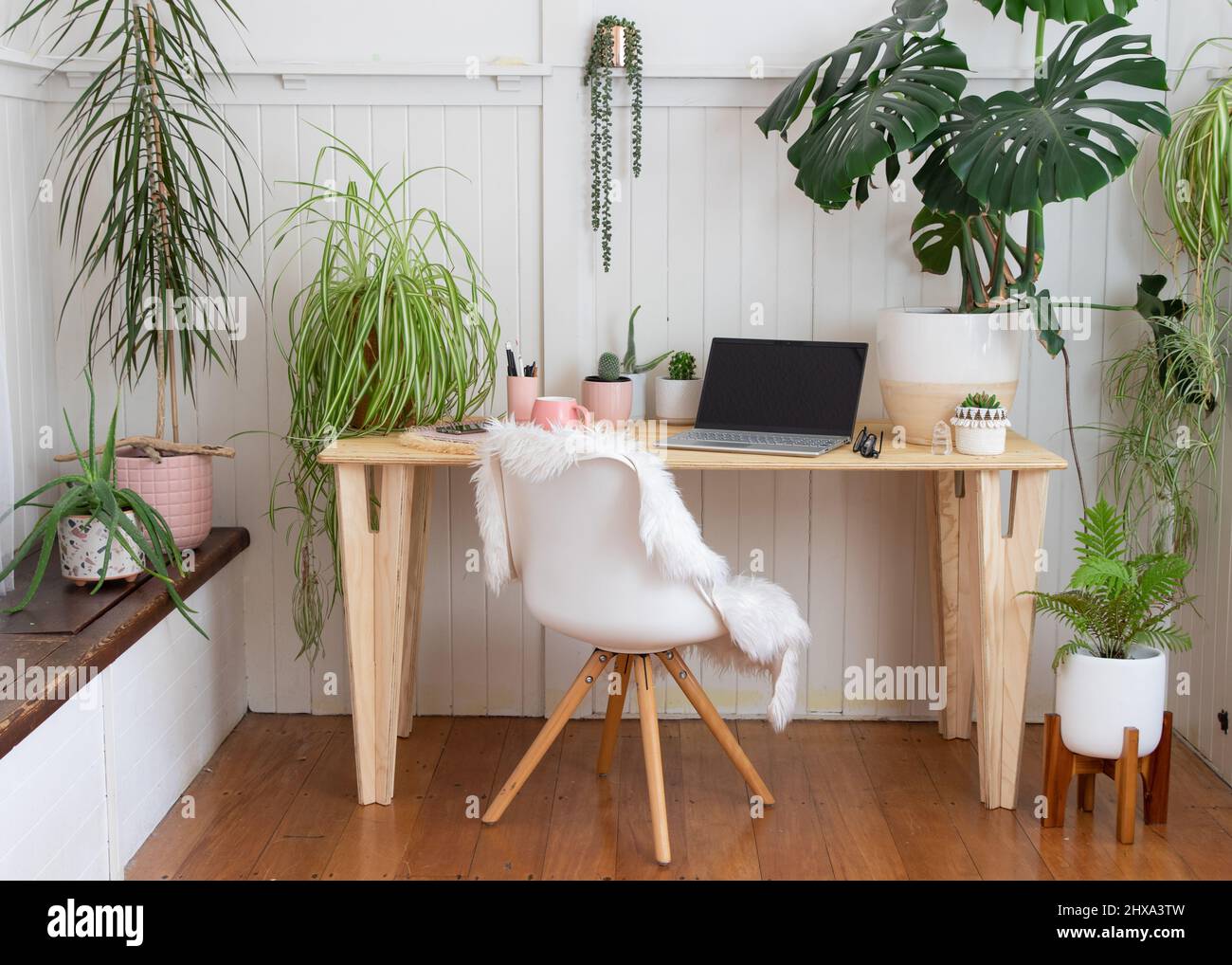working from home office with plants Stock Photo - Alamy