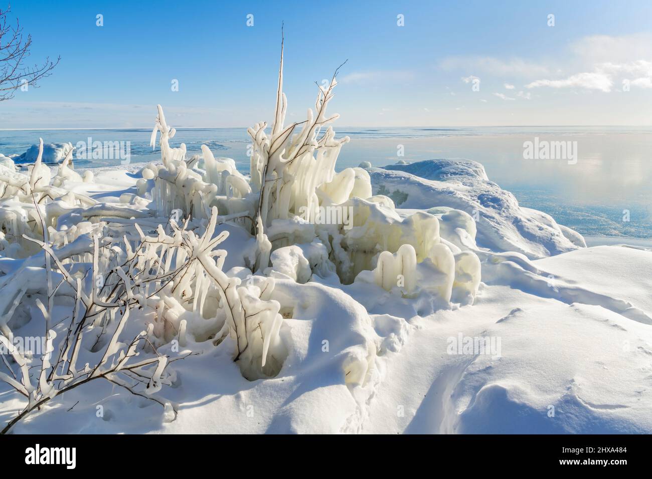 Ice-coated vegetation, Lake Superior, Tettegouche state park, February ...