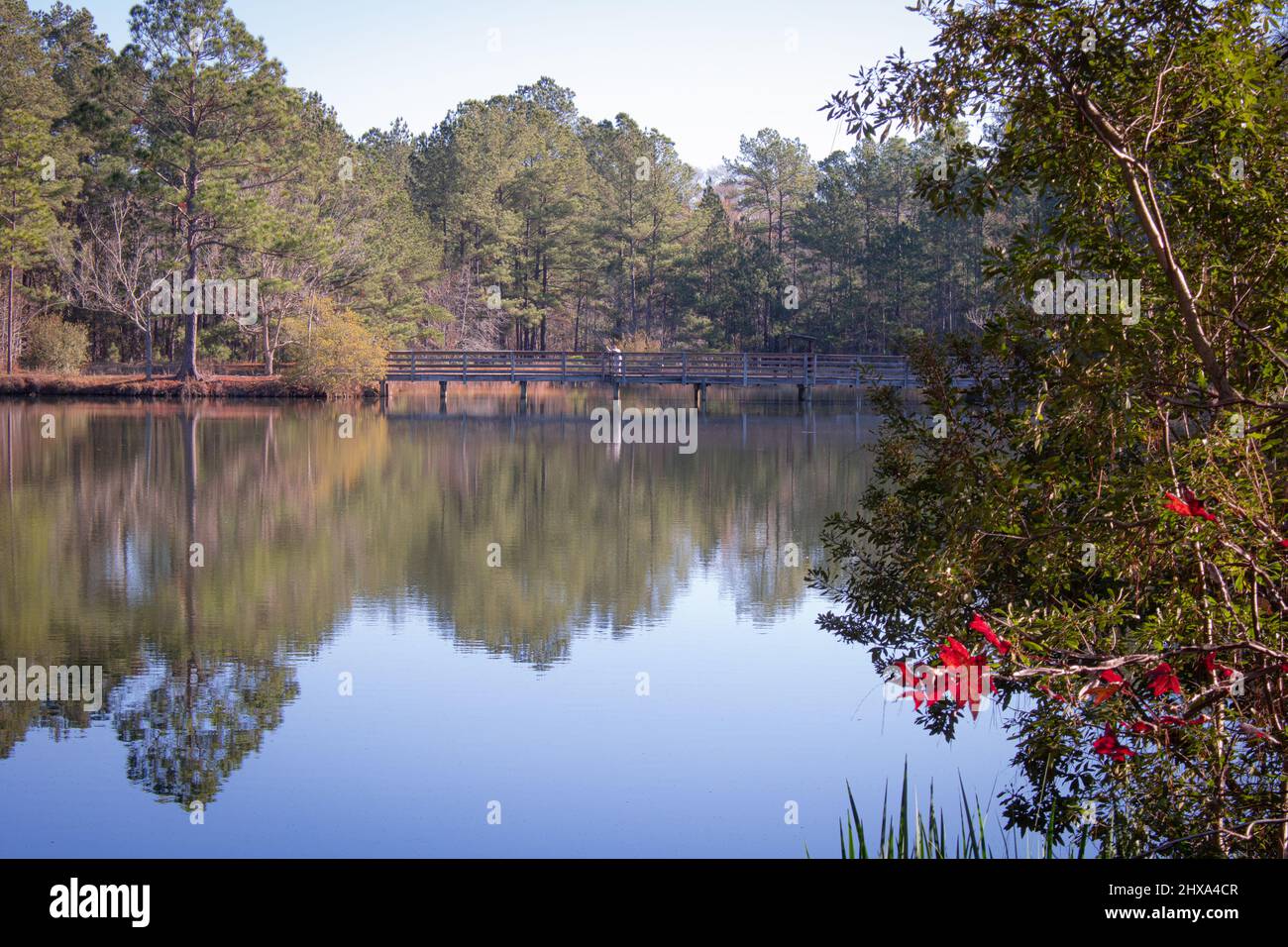 General Coffee State park, Southern Georgia USA Stock Photo - Alamy