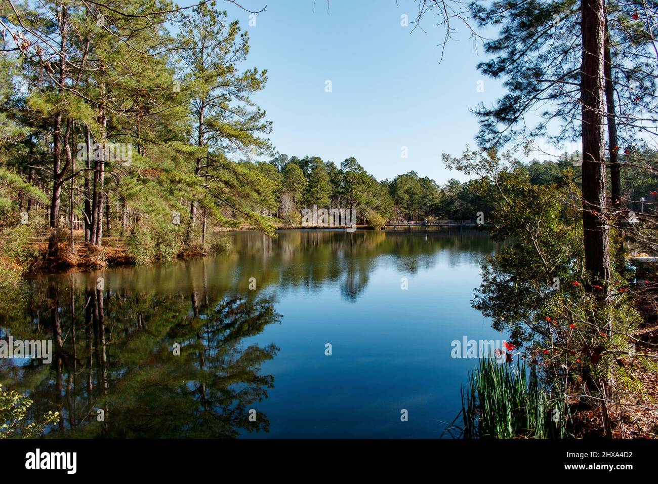 General Coffee State Park, Georgia Stock Photo - Alamy