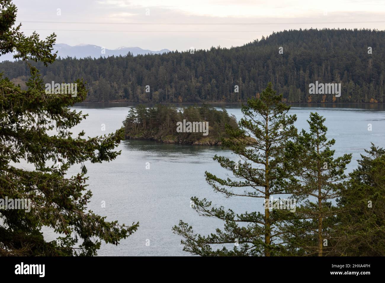 small island with pine forest under clouds Stock Photo - Alamy