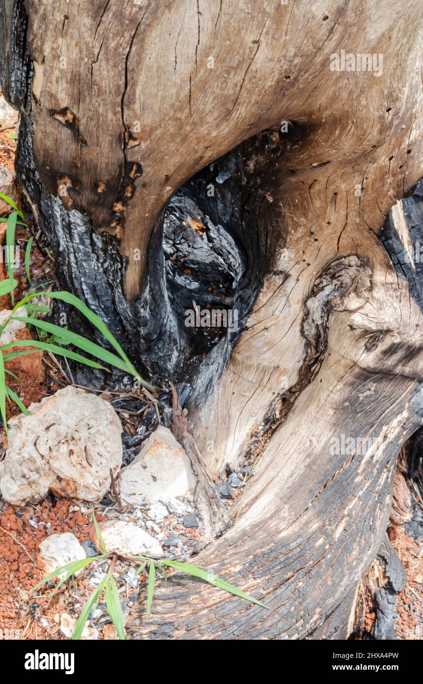 Burnt out stone hi-res stock photography and images - Alamy