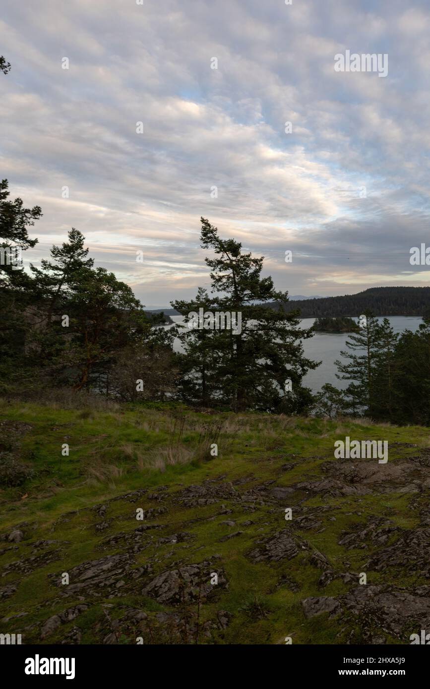 forested hills around an ocean inlet with a small island in the middle ...