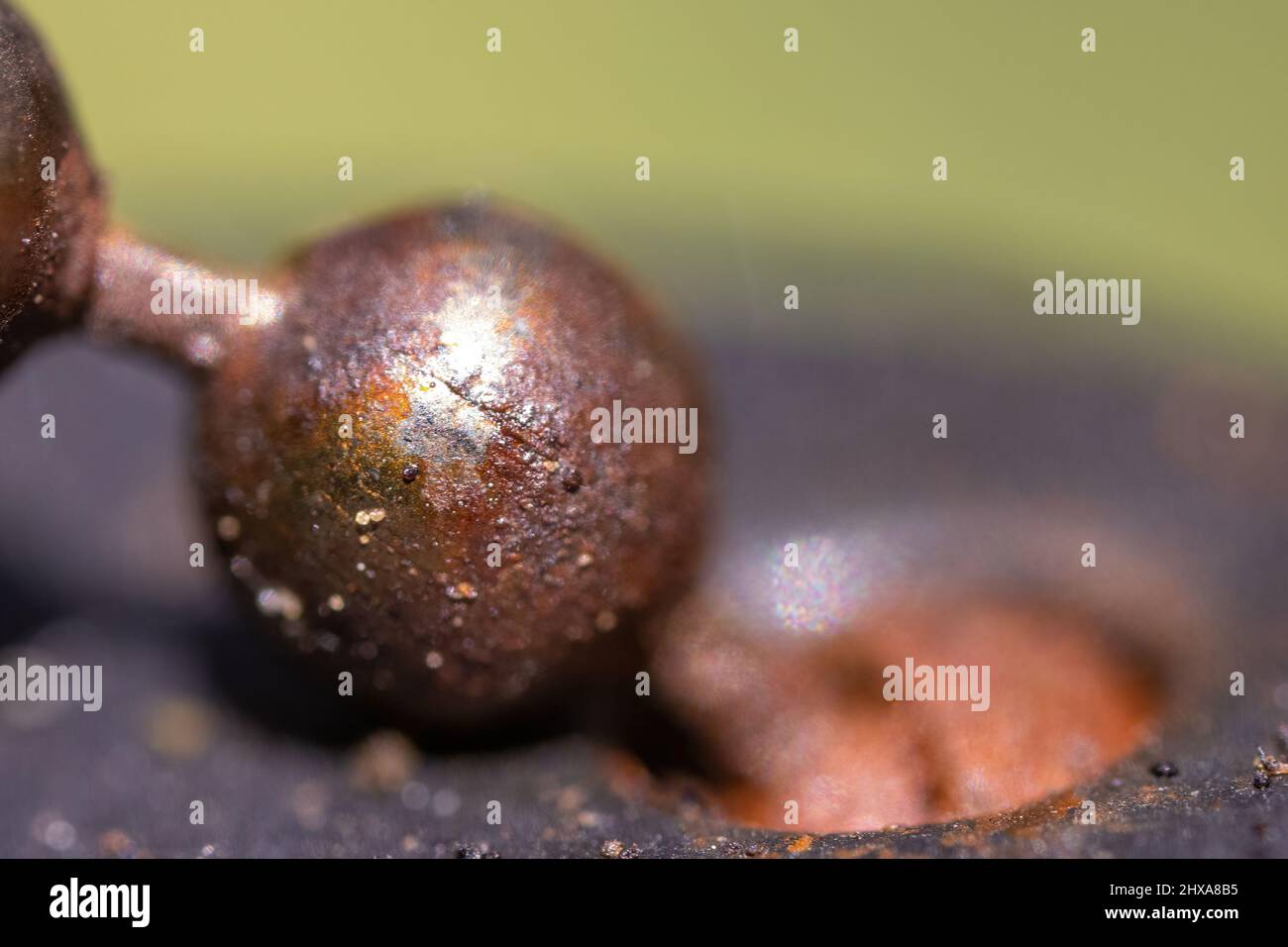 close up texture of rusted metal beaded line made of corroded steel ...