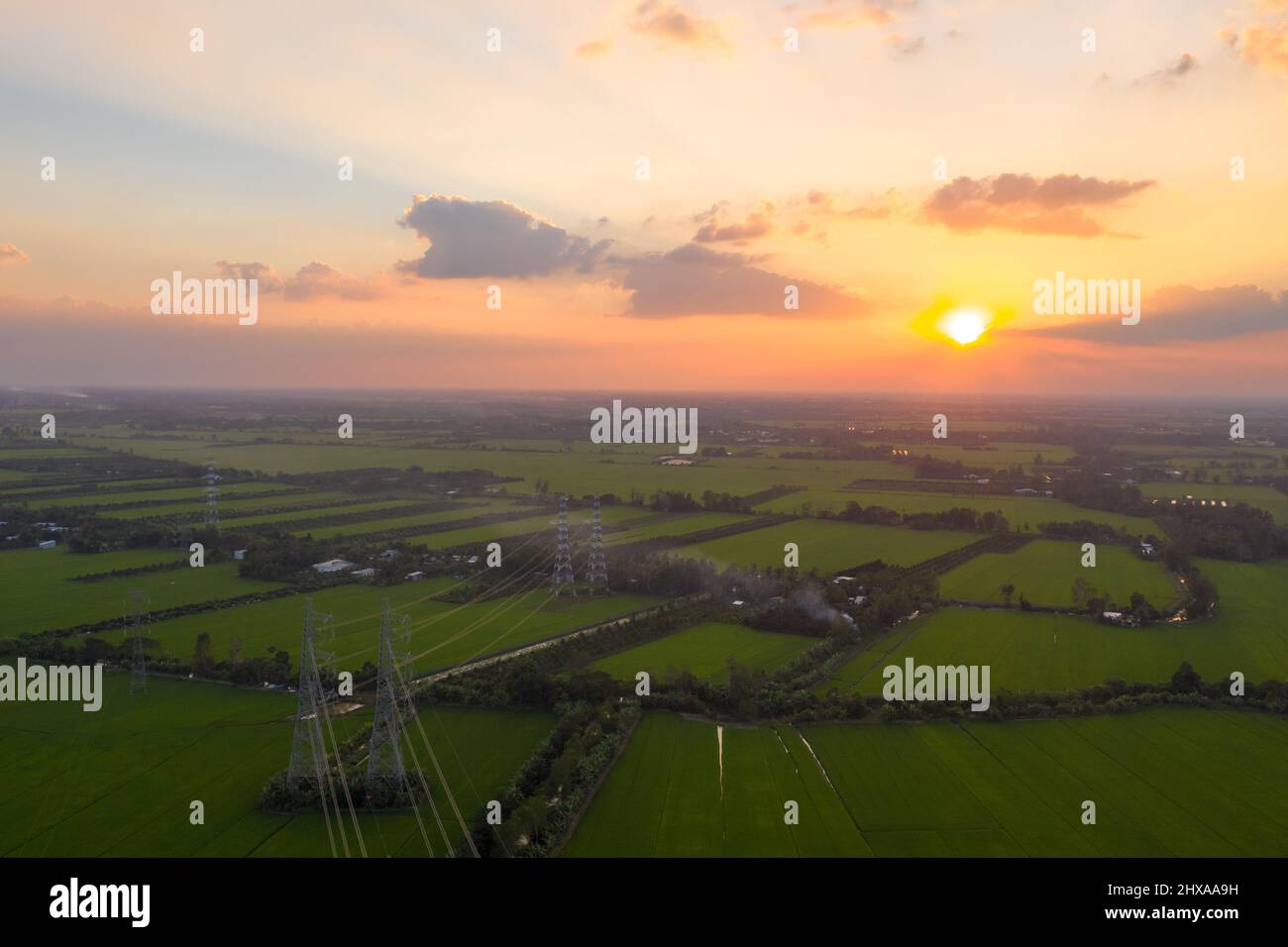 Rice field with electric poles Stock Photo - Alamy