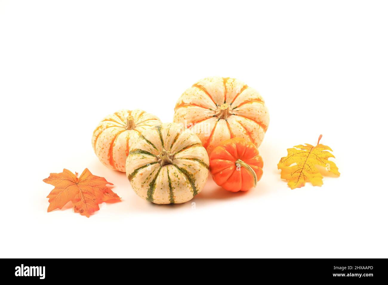Shot small pumpkin on Cut Out Stock Images & Pictures - Alamy