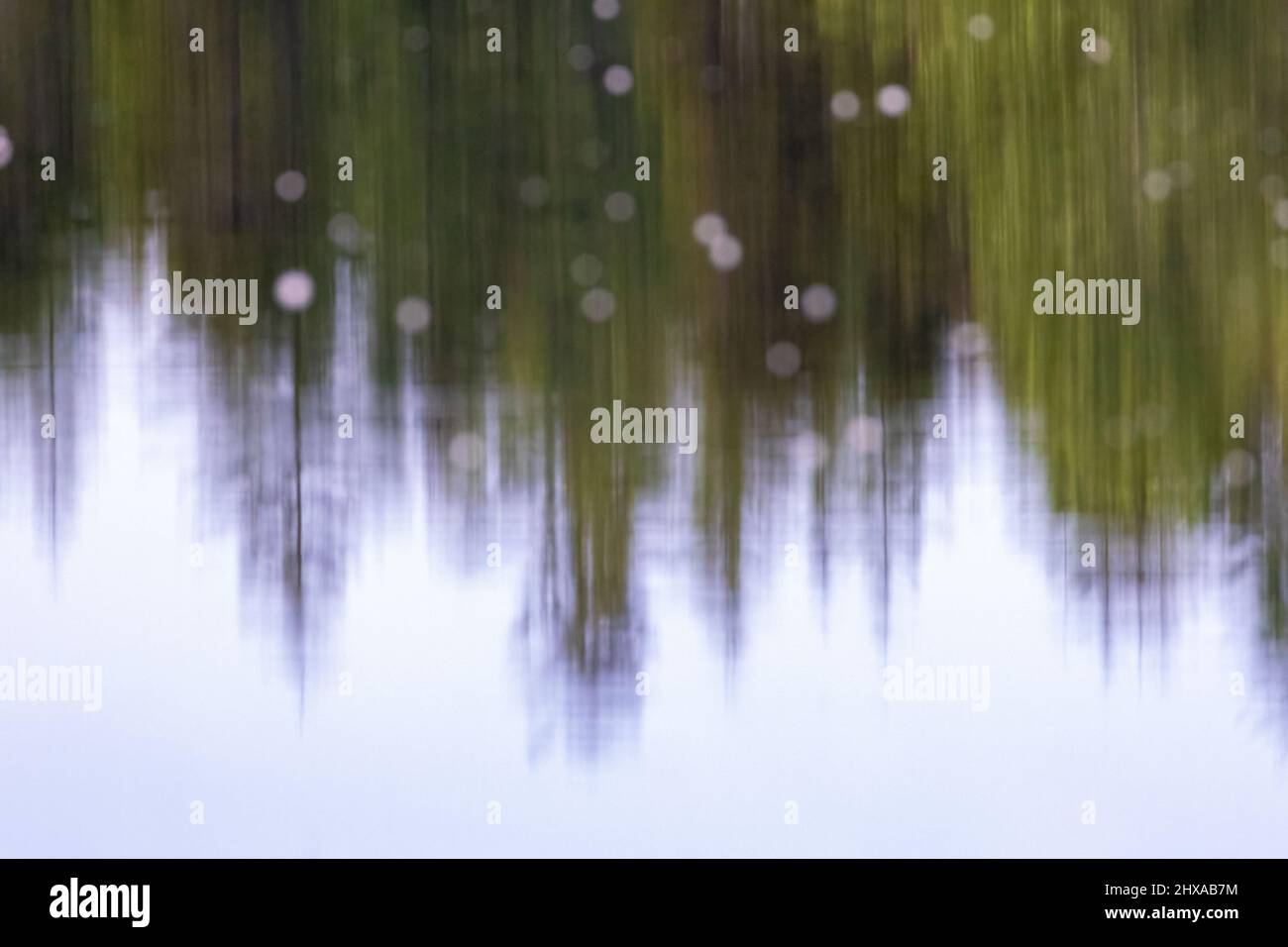 abstract ripple water reflecting forest and sky Stock Photo - Alamy