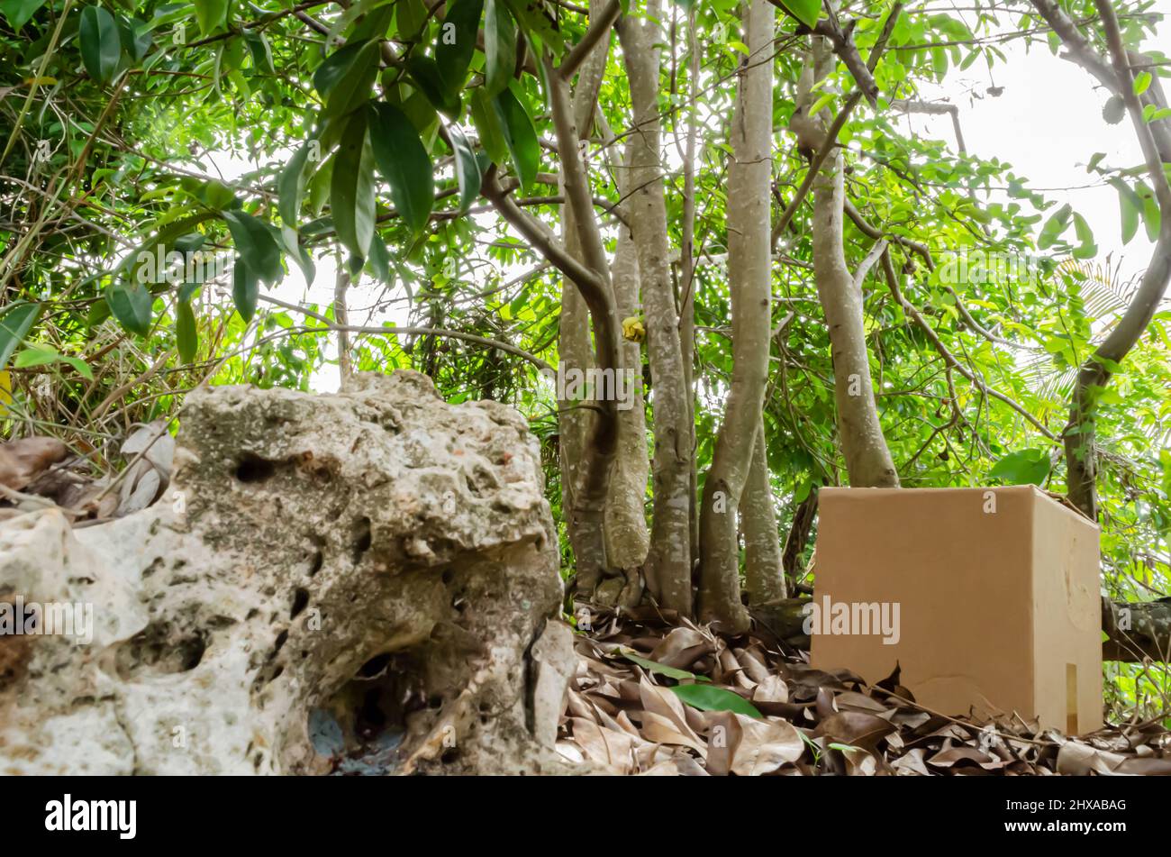 Box Among Trash Stock Photo - Alamy
