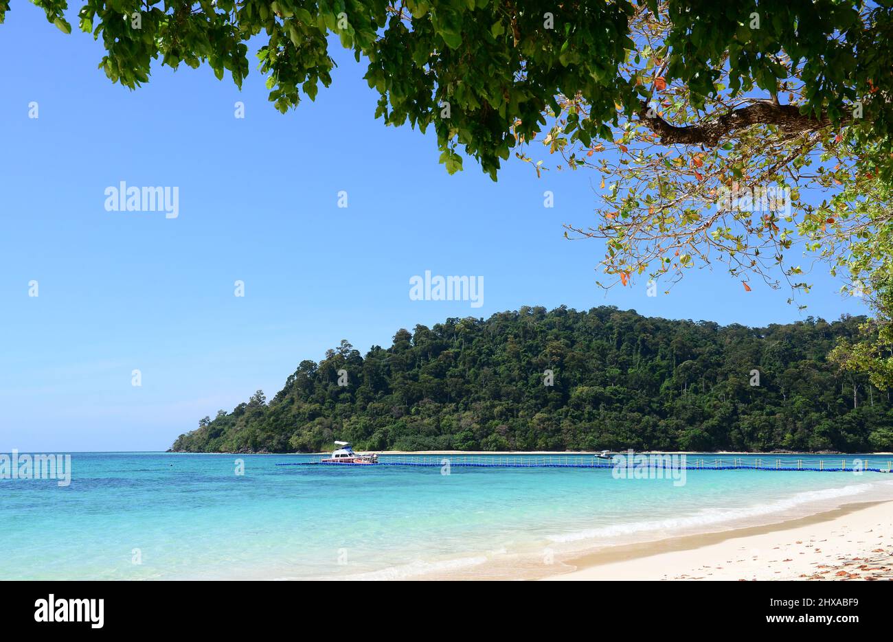Koh Rok (Rok Island) is a small archipelago in southern Thailand in the ...