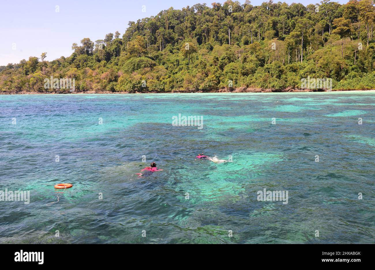 Koh Rok (Rok Island) is a small archipelago in southern Thailand in the ...