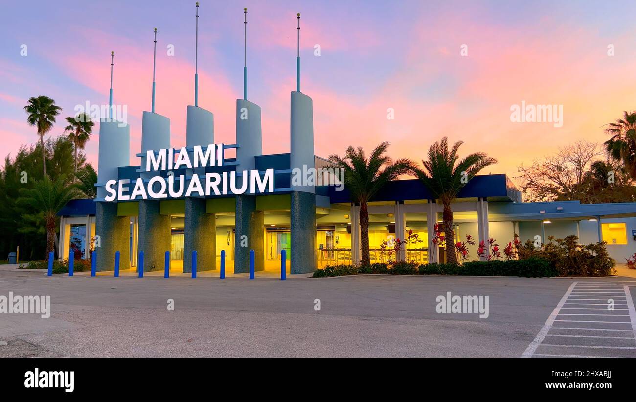 Miami Seaquarium at Key Biscayne - MIAMI, UNITED STATES - FEBRUARY 20 ...