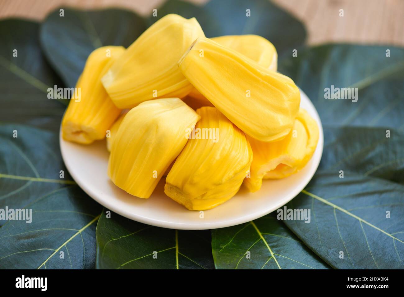 Ripe jackfruit peeled tropical fruit fresh from jackfruit tree ...