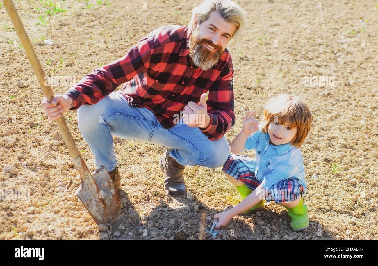 Father planting with helper son. Dad and kid gardening in garden ground ...