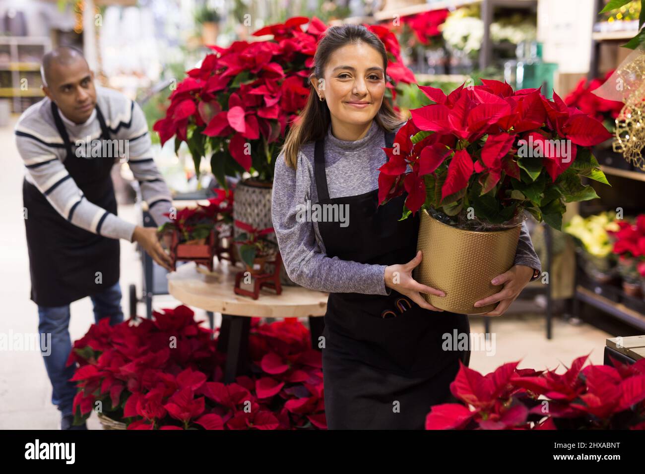 Friendly female flower shop owner offering blooming potted plants ...